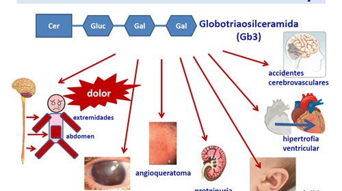 Enfermedad de Fabry | DNAGEN